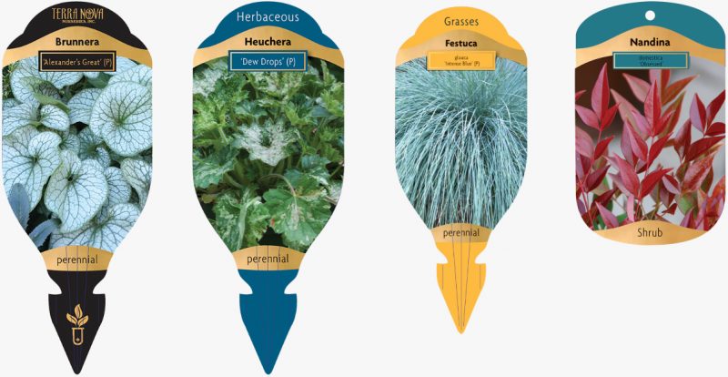 Trees & Fruit | Newey Group